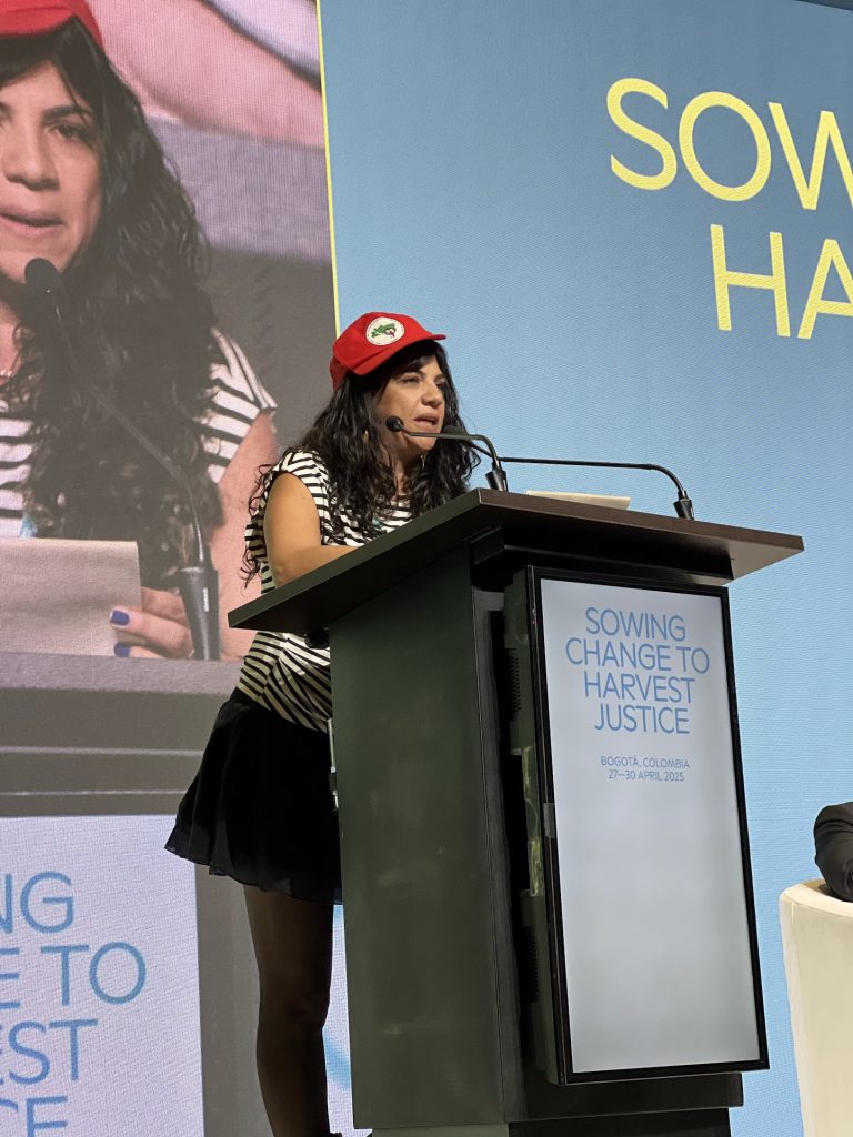 Seeds of change: Reflections on the international harm reduction ...